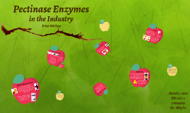Pectinase Enzymes by Erica Stirling on Prezi