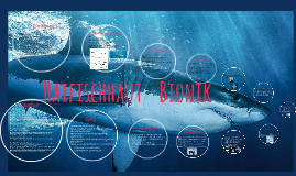 Haifischhaut - Bionik by Shilan Ahmad on Prezi