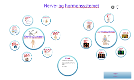Nerve- og hormonsystemet by Stine Madsen on Prezi