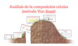 Análisis de la composición celular (método Van Soest) by Mateo Lucio on ...