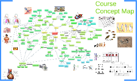 Harpy Eagle Food Web by Ekam Bagri on Prezi