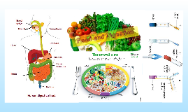 Food & Digestion Title Page by Mira Nosova on Prezi