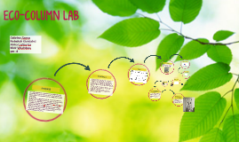 ECO-COLUMN LAB by Anna Ledesma on Prezi