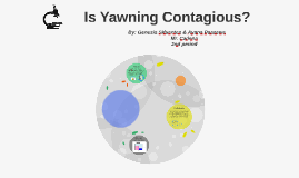 Is Yawning Contagious? by Ayana Paasewe on Prezi