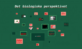 Det kognitiva perspektivet by Fanny Broo on Prezi