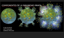 COMPONENTES DE LA INMUNIDAD INNATA by Genesis Lora on Prezi