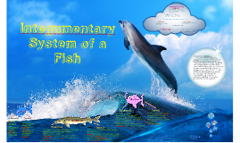 Integumentary System of a Fish by Deziree Ann Shane Ybañez on Prezi