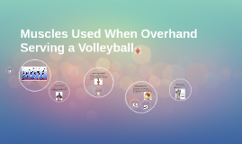 Muscles Used When Overhand Serving a Volleyball by Jena Jacobs on Prezi