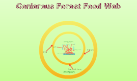 Food Web Coniferous Forest by Hannahmarie Rhodes on Prezi