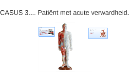 CASUS 3.... Patient met acute verwardheid. by vincent van Reenen on Prezi
