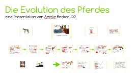 Die Evolution des Pferdes by Amelie Becker on Prezi