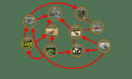 California Chaparral Food Web by Roman Lemus on Prezi