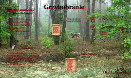Pan Tadeusz Grzybobranie by Ula Dawidejt on Prezi