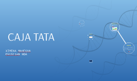 CAJA TATA by laura ximena on Prezi