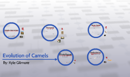Evolution of Camels by Gilly Gillam on Prezi