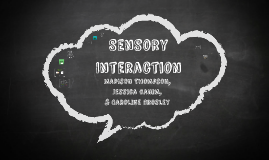 sensory interaction by Madison Thompson on Prezi