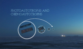 PHOTOAUTOTROPHS AND CHEMOAUTOTROPHS by Gwendolyn Ma on Prezi