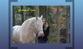 Das typologische Konzept nach Kurt Lewin by Lisa Reinbold on Prezi