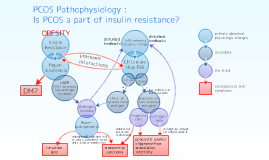 PCOS concept map by Taotao Lee on Prezi