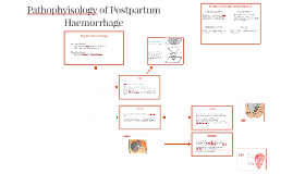 Pathophysiology of Postpartum haemorrhage by Paul McDowell on Prezi