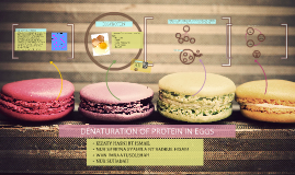DENATURATION OF PROTEIN IN EGGS by on Prezi