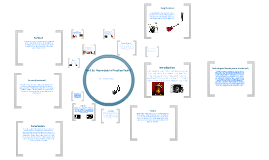 Patient KF by erfasdf esfds on Prezi