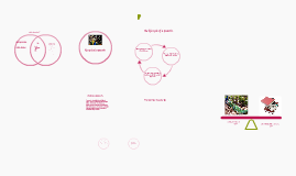 life cycle of a peacock by susannah mcnab on Prezi
