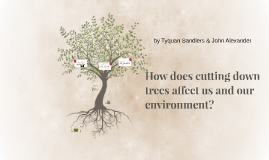 How does cutting down trees affect us and our environment? by tyquan sandlers on Prezi