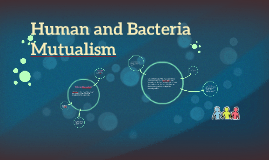 Human and Bacteria Mutualism by Kelly Lee on Prezi