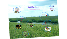 ALL ABOUT ROBERT F. FLEMMING JR. by Sierra Sumpter on Prezi