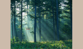 Introduction to: DAFOREST by Elica Jonas on Prezi