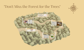 Don't Miss the Forest for the Trees by Allison Phillips on Prezi