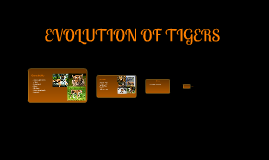 evolution of tigers by Samantha Furgiuele on Prezi