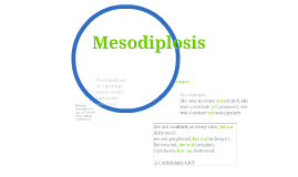 Mesodiplosis by Ana Mat on Prezi