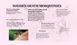 SUDDEN DEATH MOSQUITOES by Lily Stone on Prezi