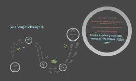 Writing The (3) Chunk Paragraph by Amanda Brown on Prezi