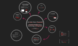 Das Corbin-Strauss-Pflegemodell by Timmy Schloer on Prezi