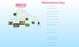 Classification diagram and a Dichotomous key by jessica buckley on Prezi