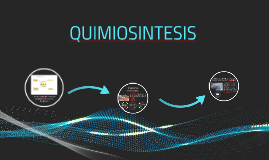 QUIMIOSINTESIS by Camila Deaquiz on Prezi