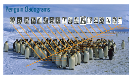 Penguin Cladograms by Lili Mo on Prezi
