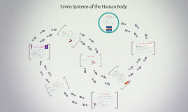 Seven Systems of the Human Body by Ally Szecsi on Prezi