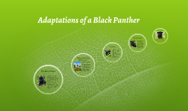 Adaptations of a Black Panther by on Prezi