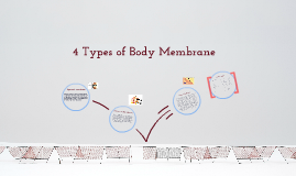 4 Types of Body Membrane by Jenny Gault on Prezi