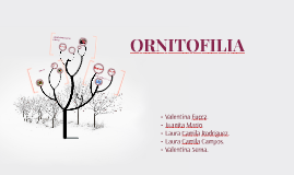 ORNITOFILIA by Valentina Fuccz on Prezi
