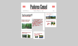 Biotopul Marii Negre by nica theodora on Prezi