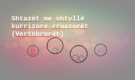 Shtazët me shtyllë kurrizore-rruazorët (Vertebrorët) by Vlorjeta ...