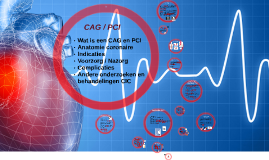 CAG / PCI by Ramona de Putter-Nelis on Prezi