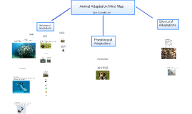 Plant Adaptation Mind Map by Kyle Schmidt on Prezi