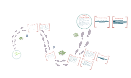 PALS (Peer Assisted Learning Strategies) by Jessica Moody on Prezi