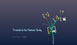Fractals in the Human Body by Kaya Stitzhal on Prezi